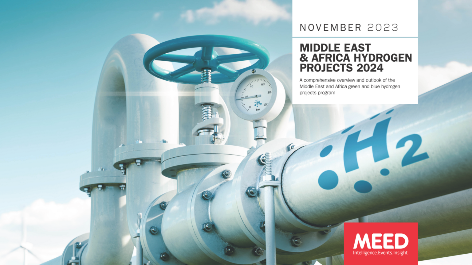 Middle East & Africa Hydrogen Projects 2024 - MEED Insight